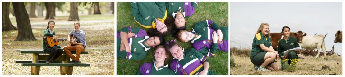 Centenary Heights State High School Profile